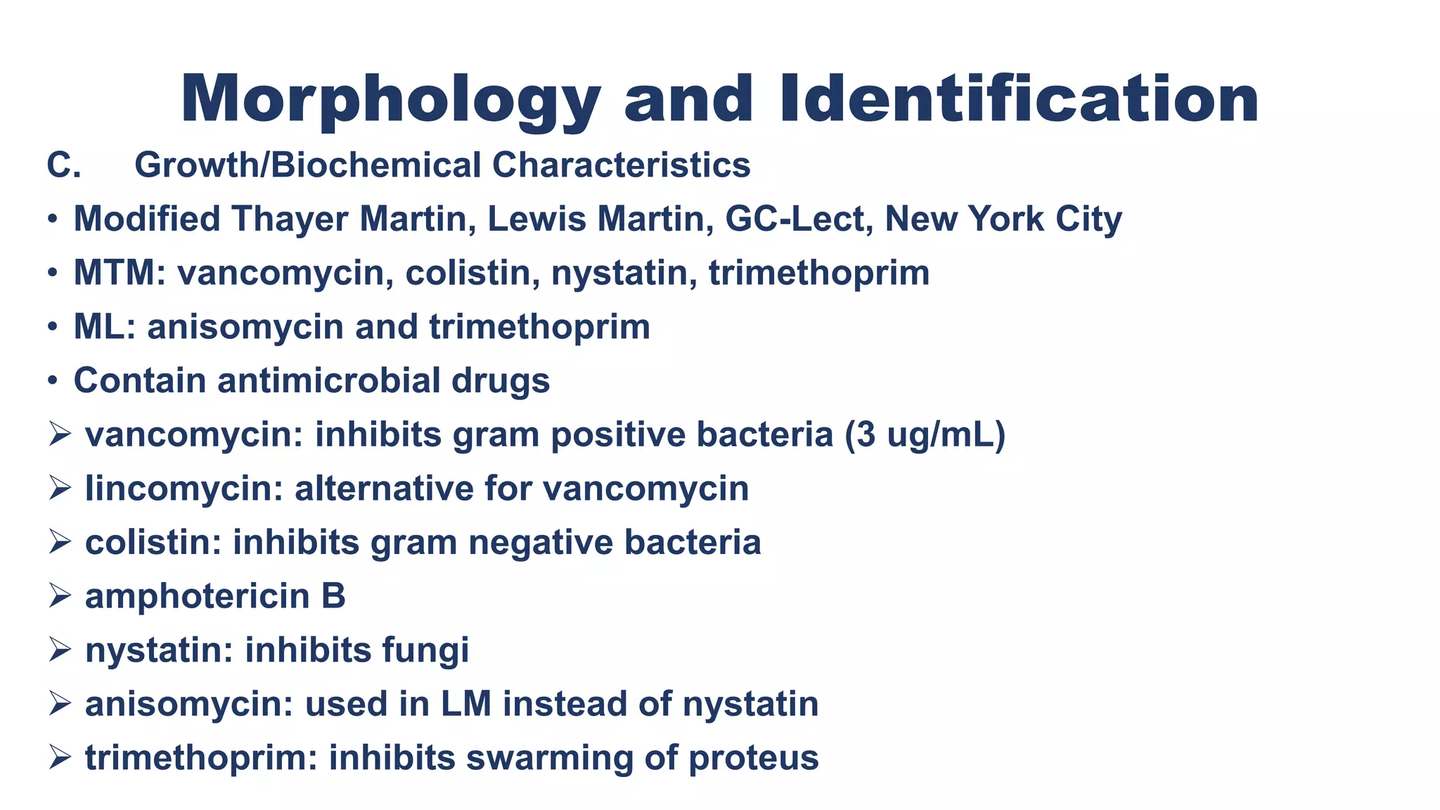 Gram negative cocci | PPTX