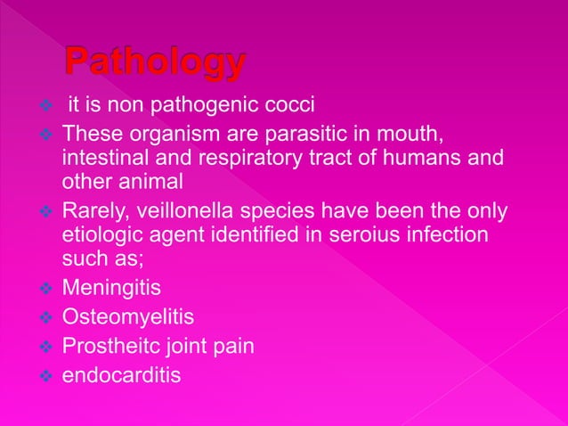 Gram negative cocci | PPTX
