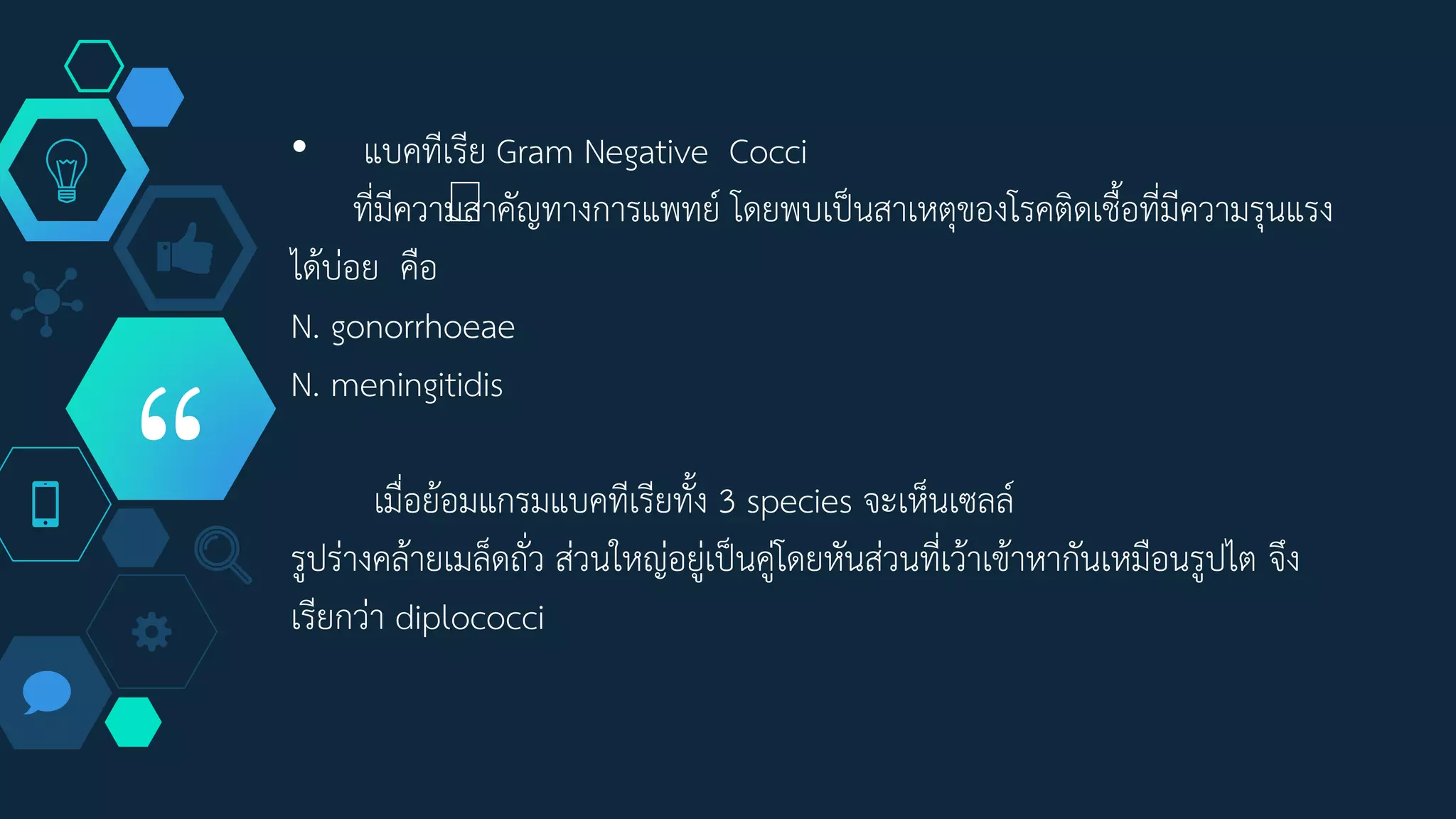 Gram negative cocci | PPTX
