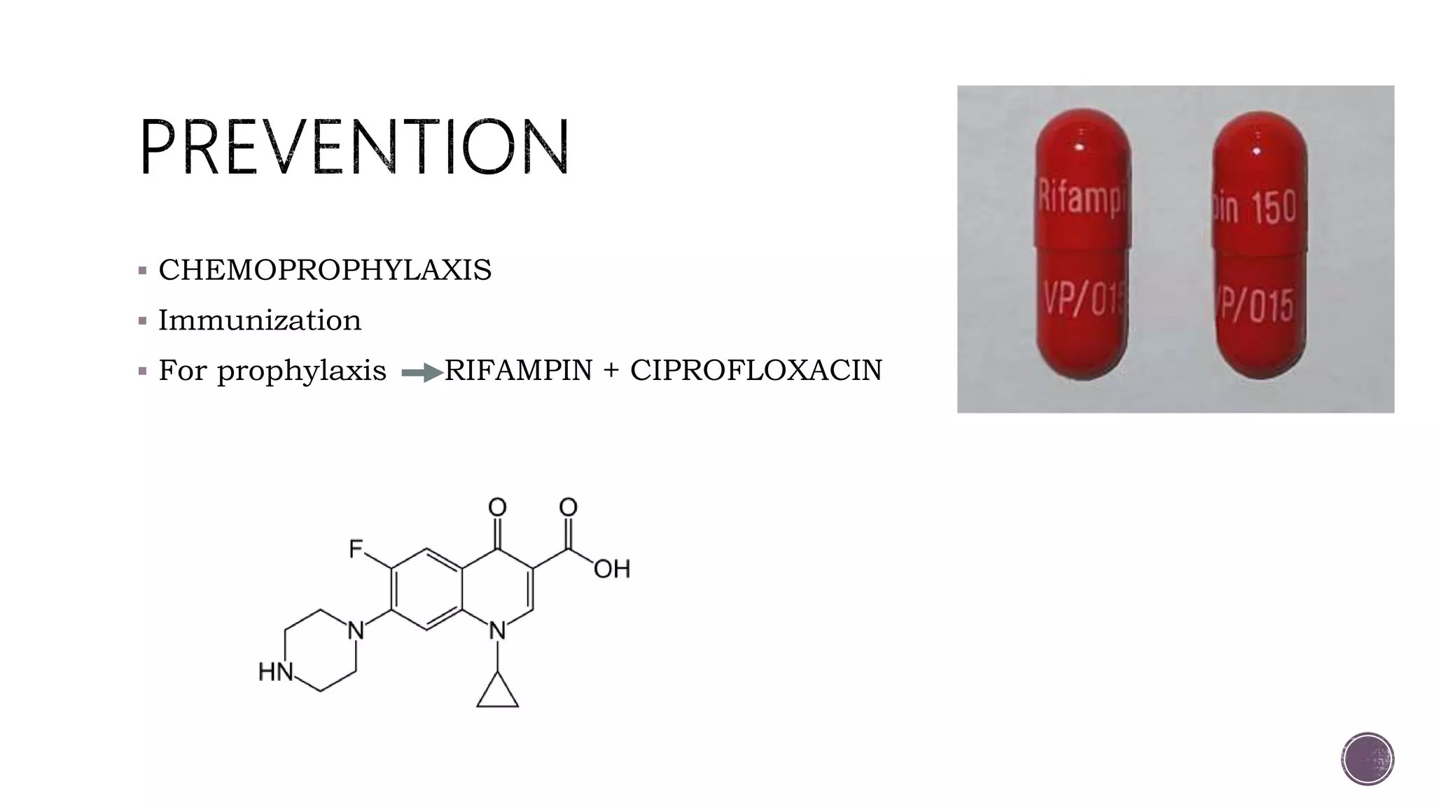 Gram negative cocci | PPTX