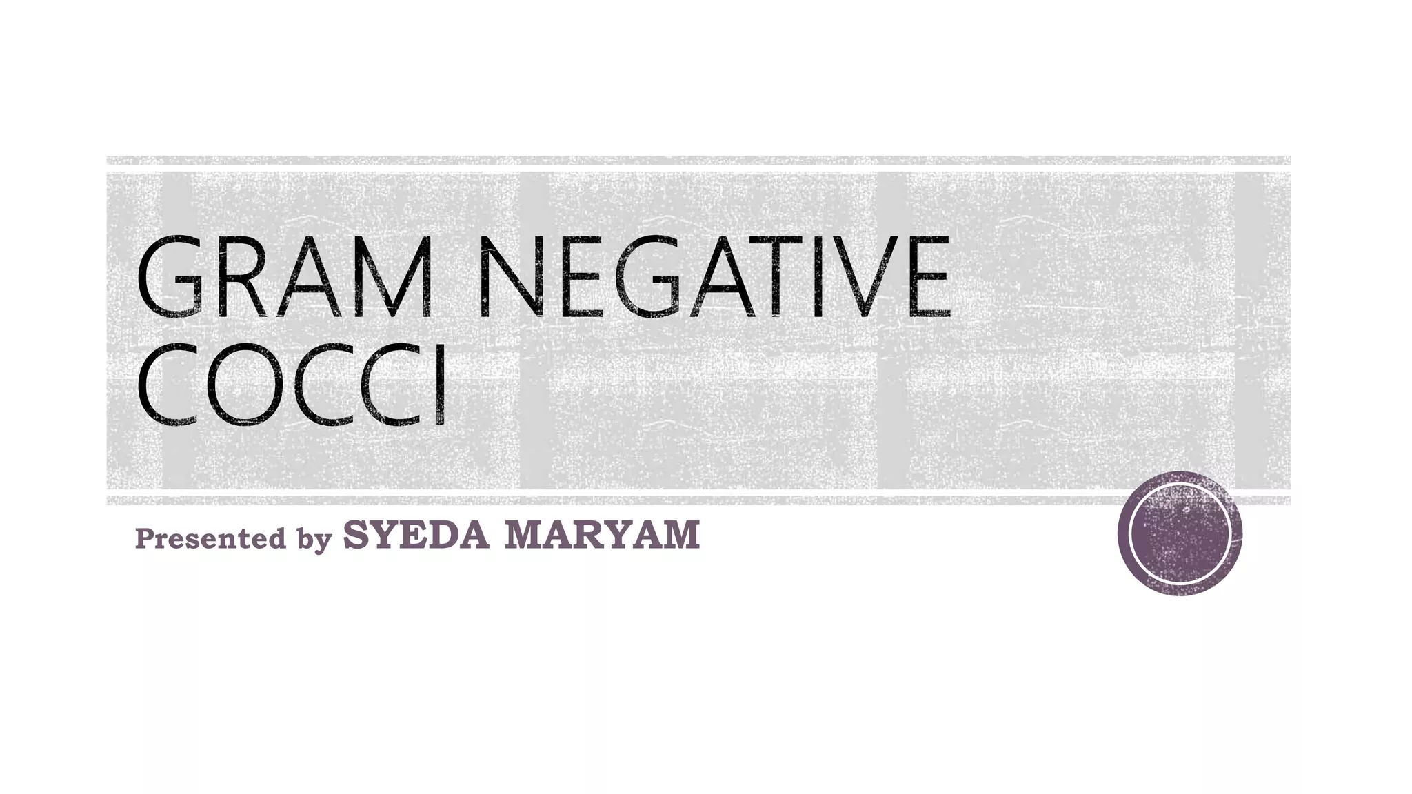Gram negative cocci | PPTX