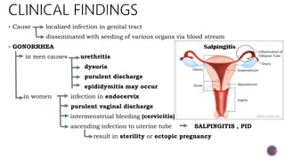 Gram negative cocci | PPTX