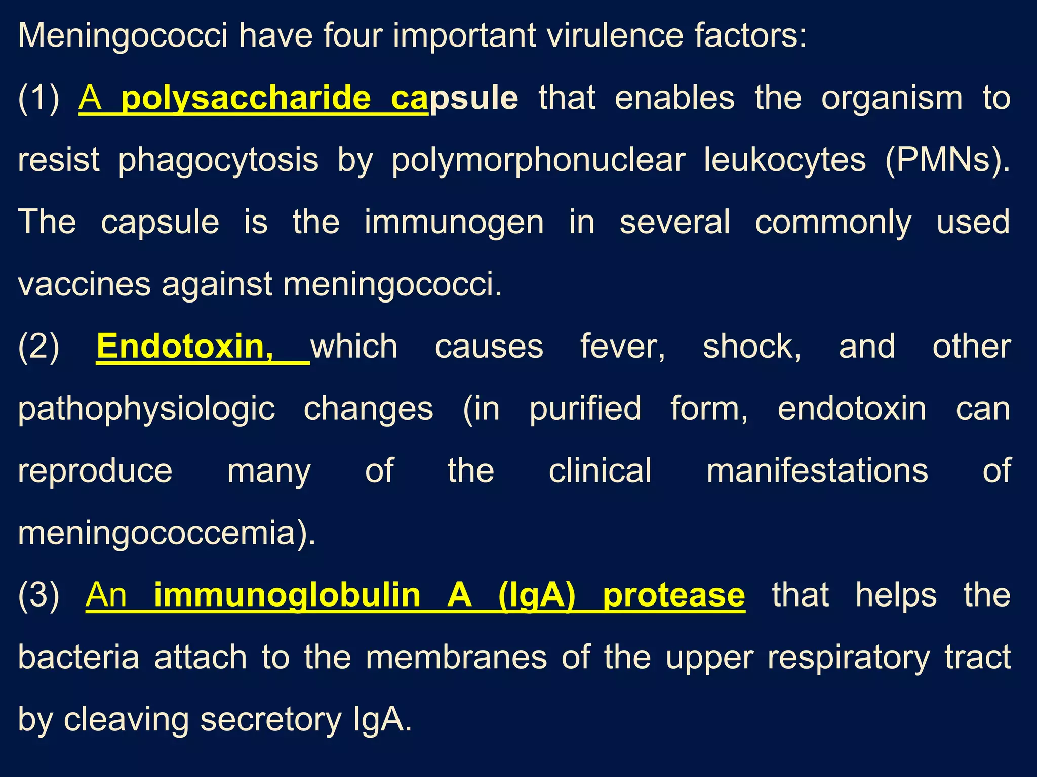 Gram Negative Cocci.pptx