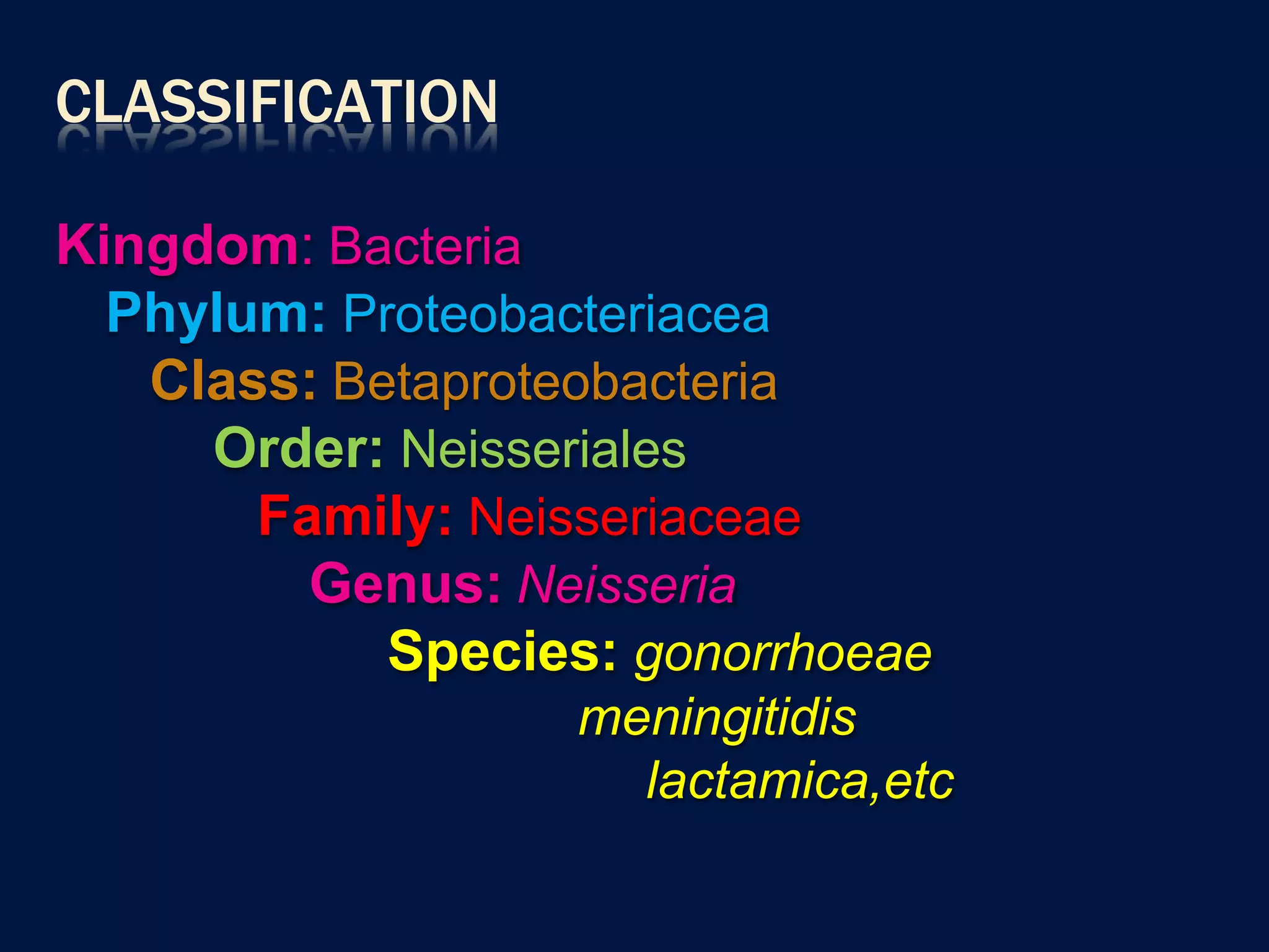 Gram Negative Cocci.pptx