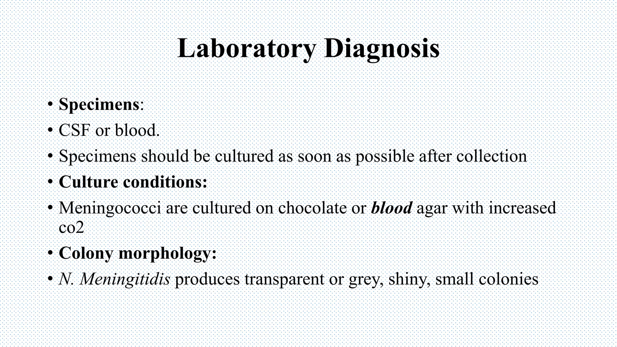 gram negative cocci.pptx