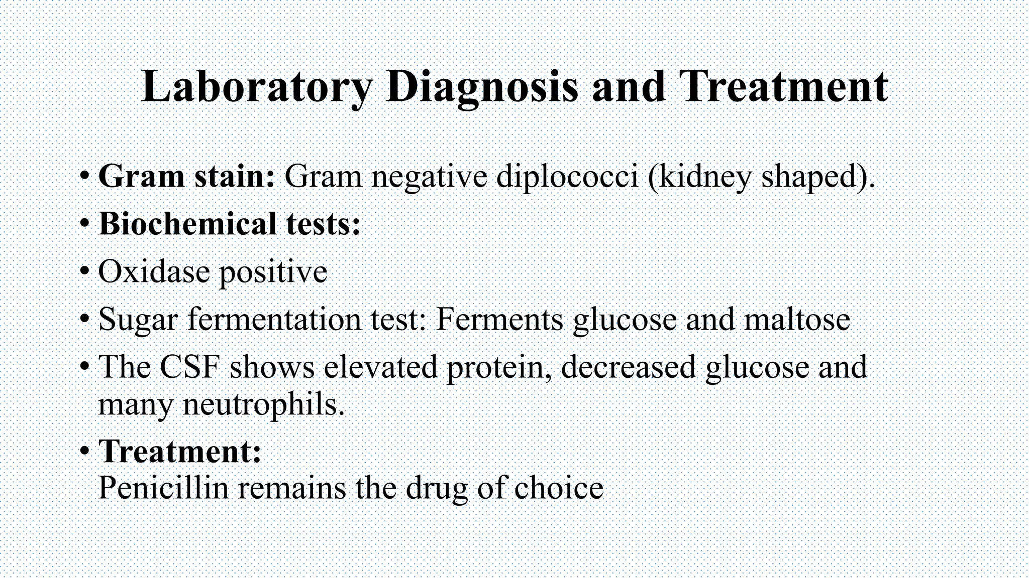 gram negative cocci.pptx
