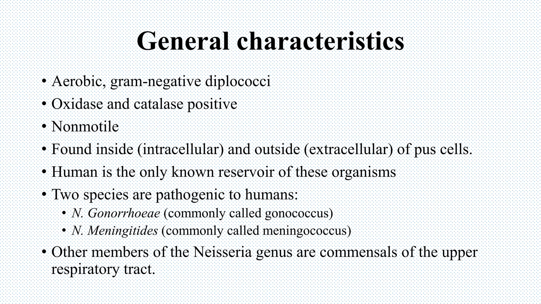 gram negative cocci.pptx