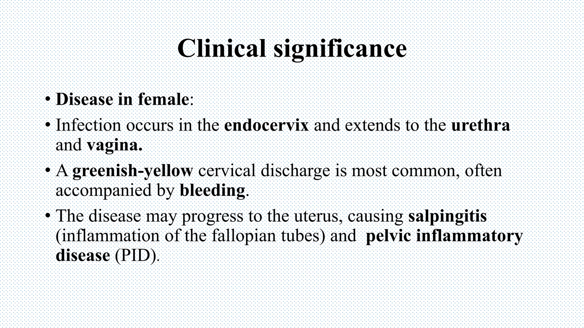 gram negative cocci.pptx