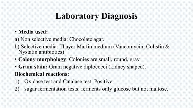gram negative cocci.pptx | Infectious Diseases | Diseases and Conditions