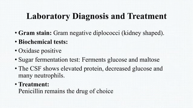 gram negative cocci.pptx | Infectious Diseases | Diseases and Conditions