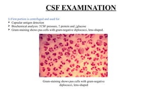 All Paramedical, Nursing and MBBS Courses/GRAM NEGATIVE COCCI.pptx