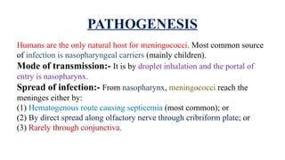 All Paramedical, Nursing and MBBS Courses/GRAM NEGATIVE COCCI.pptx ...