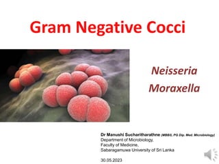 Gram negative cocci - Batch 03.ppt