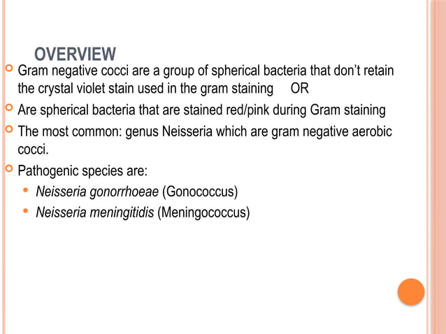 Gram Negative Cocci _DCA _ 29-10-2024 -.pptx