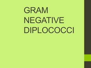 Gram_Negative_Diplococci | PPTX
