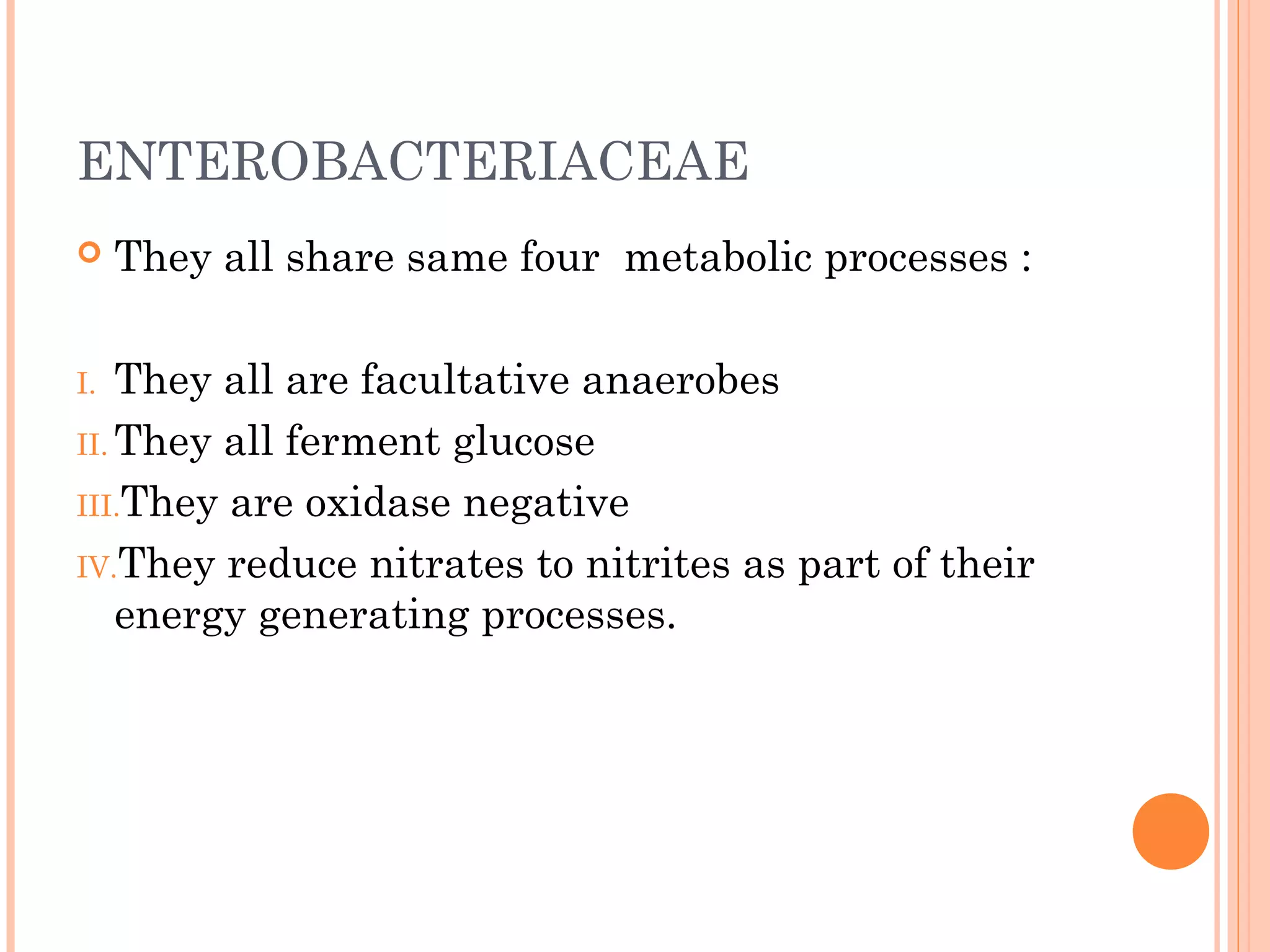 Gram negative rods | PPT