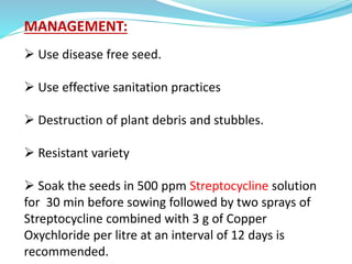 Gram n urd bean | PPT