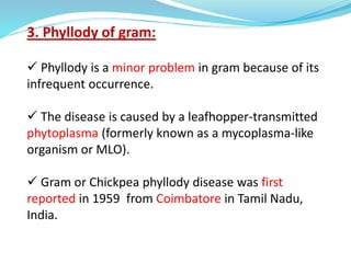 Gram n urd bean | PPT