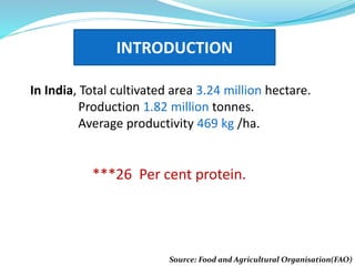 Gram n urd bean | PPT
