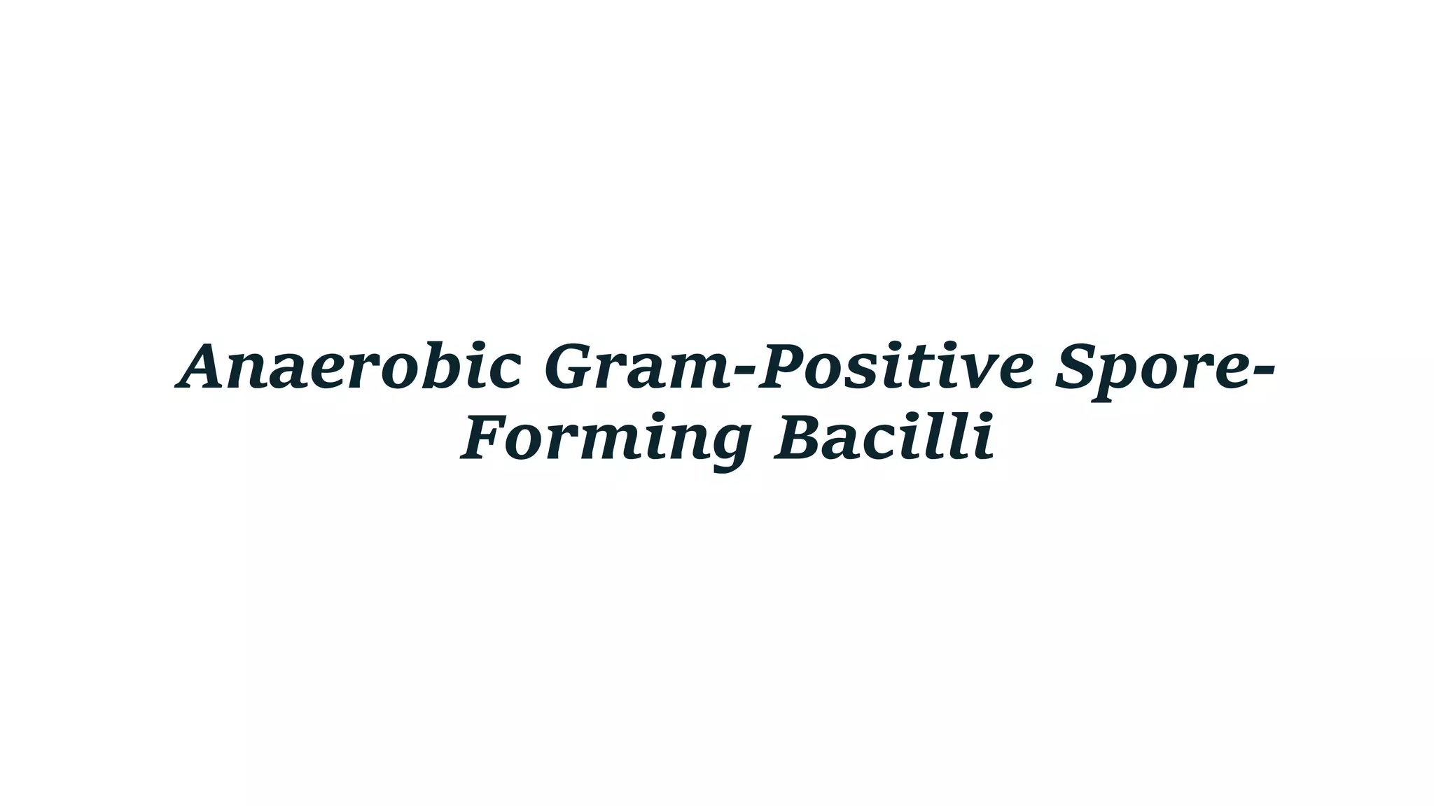 Anaerobic Gram-Positive Spore-Forming Bacilli | PPTX