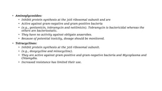 Gram Positive Spore Forming Bacilli