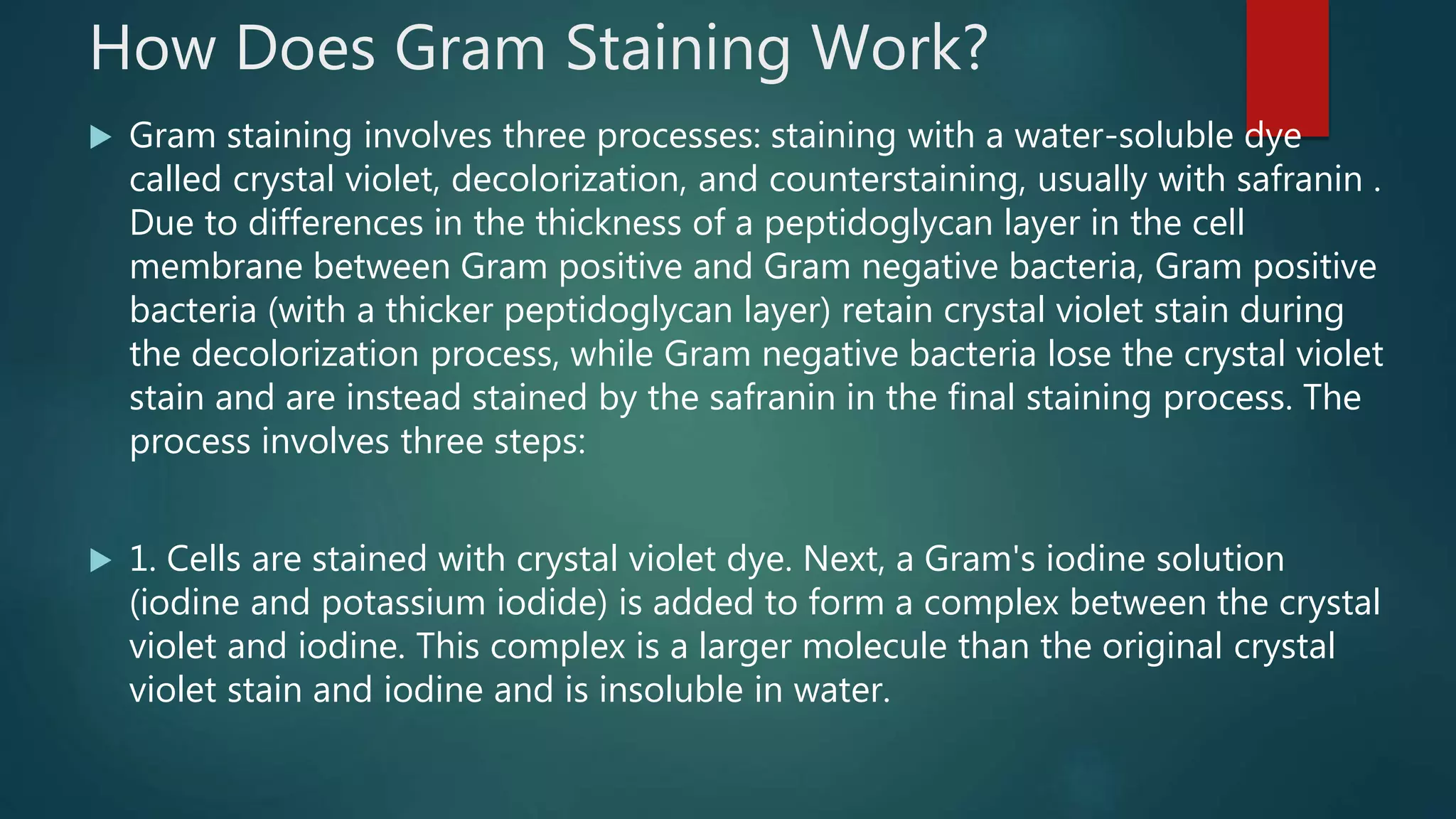Gram positive and gram negative bacteria | PPTX
