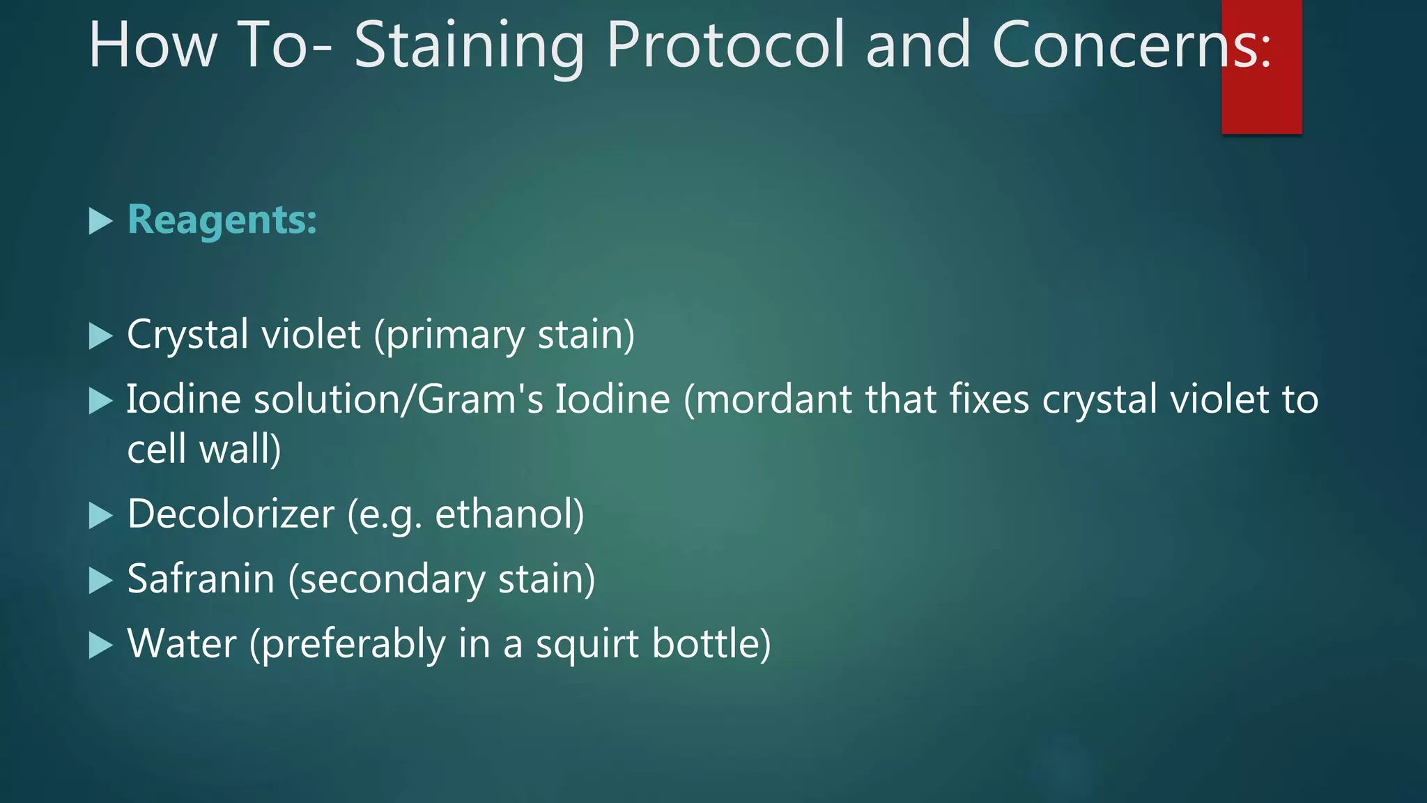 Gram positive and gram negative bacteria | PPTX