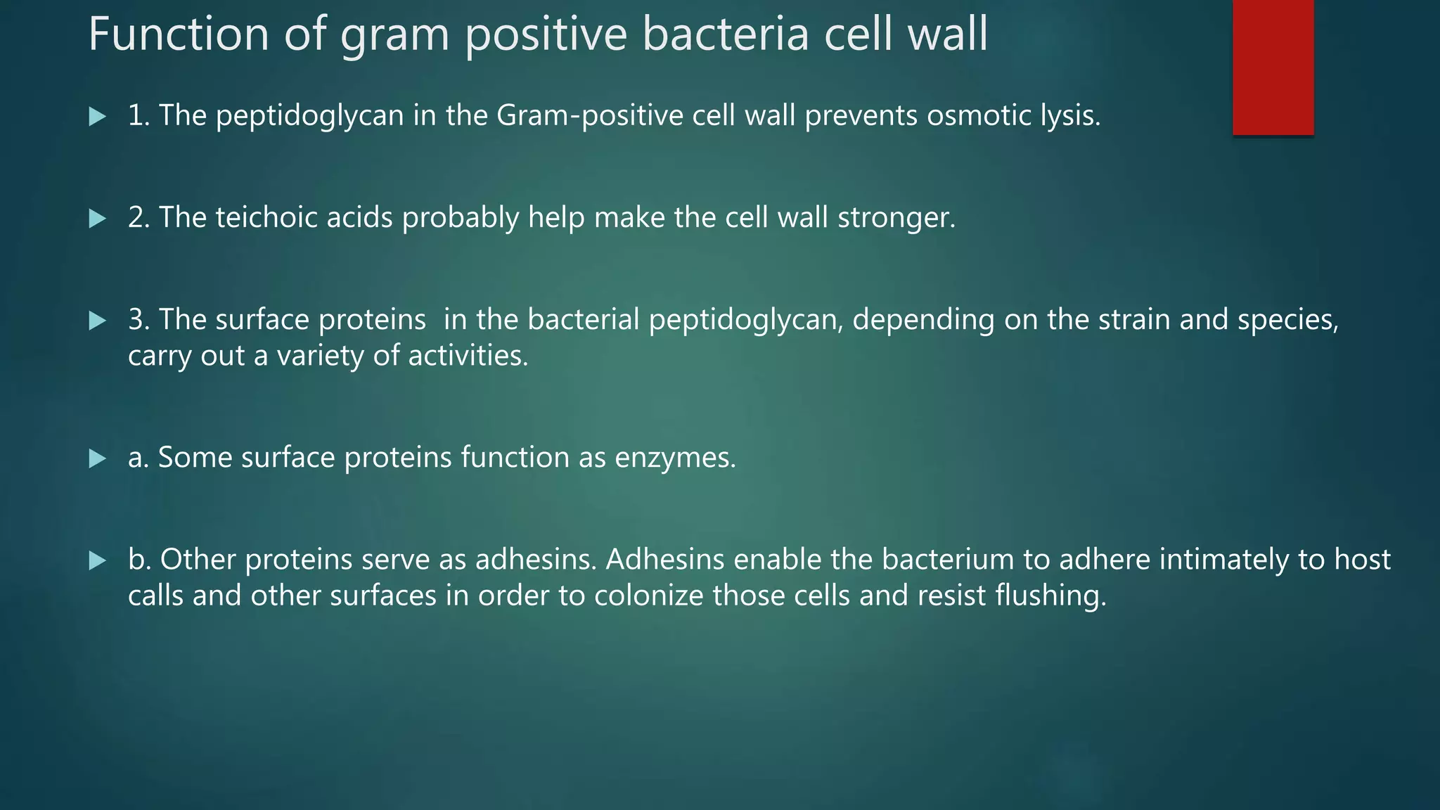 Gram positive and gram negative bacteria | PPTX