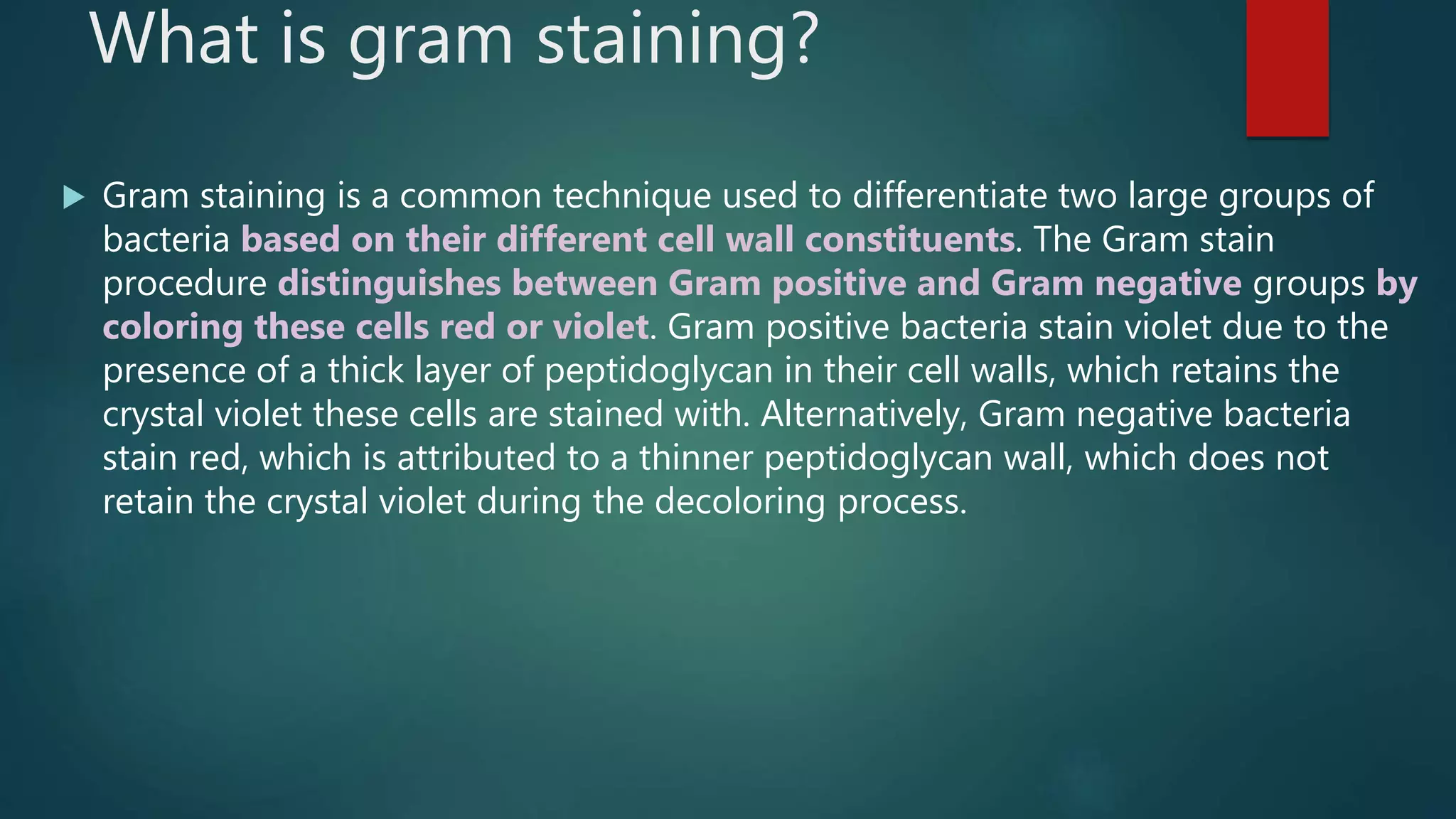 Gram positive and gram negative bacteria | PPTX