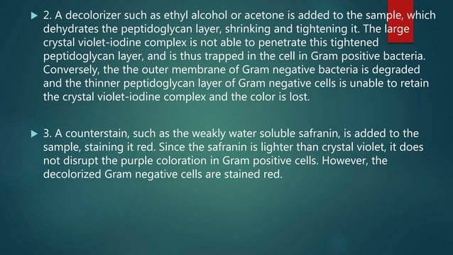 Gram positive and gram negative bacteria | PPTX