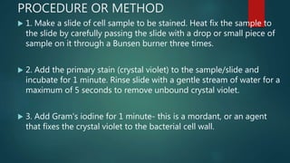 Gram positive and gram negative bacteria | PPTX