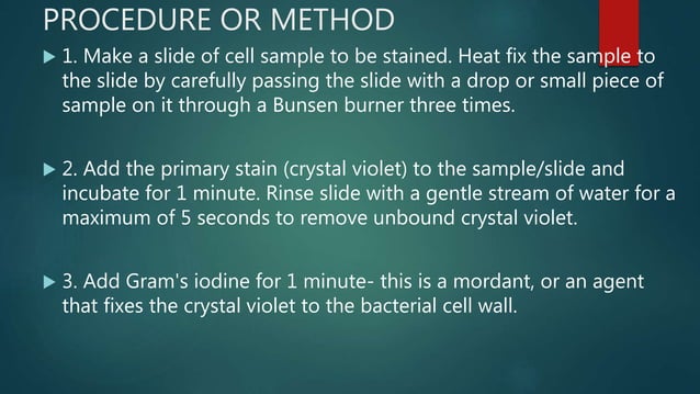 Gram positive and gram negative bacteria | PPTX