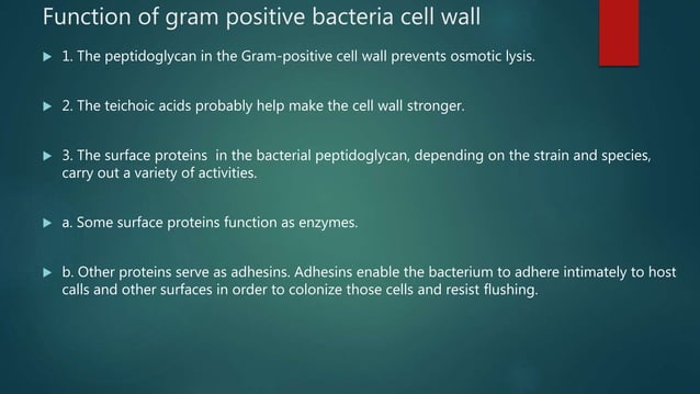 Gram positive and gram negative bacteria | PPTX