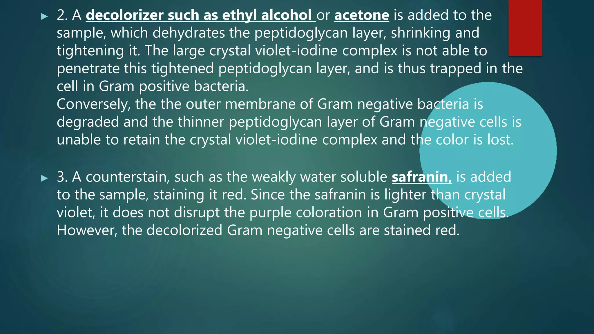 gram positive and gram negative bacteria- lec 2.pptx