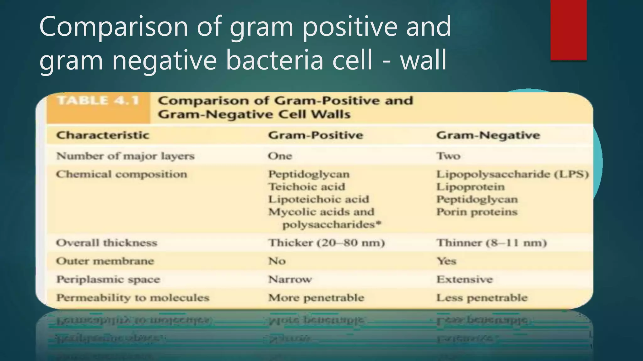 gram positive and gram negative bacteria- lec 2.pptx