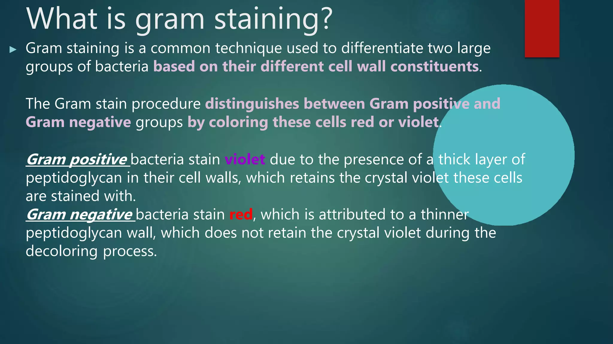 gram positive and gram negative bacteria- lec 2.pptx