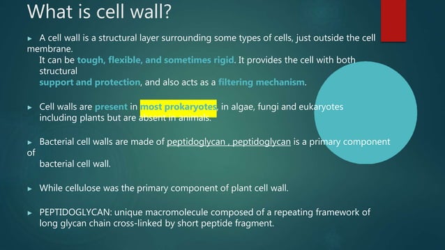 gram positive and gram negative bacteria- lec 2.pptx