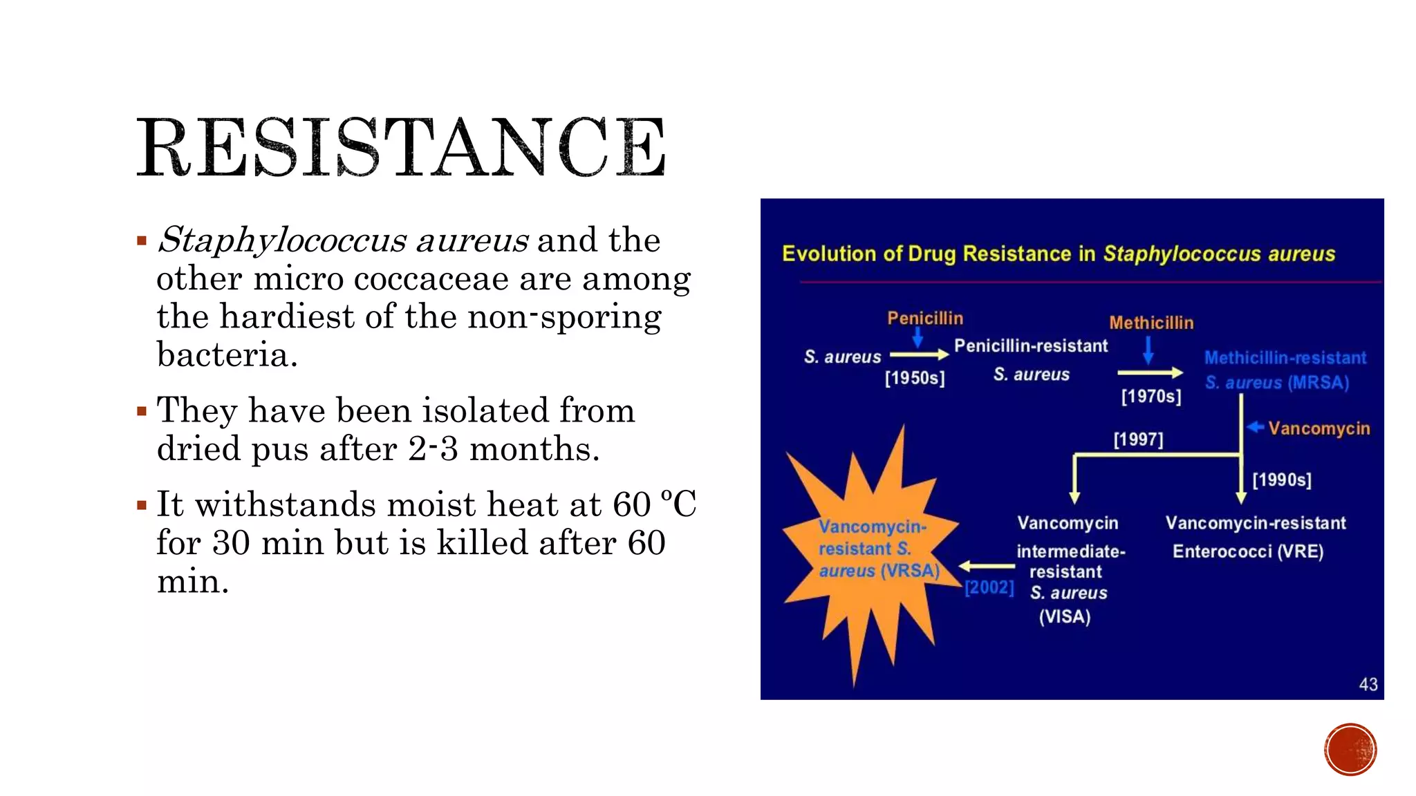 Gram positive and gram negitive bacteria | PPTX