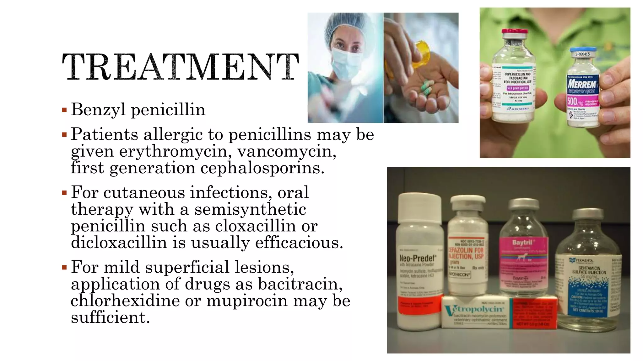 Gram Positive And Gram Negitive Bacteria Pptx