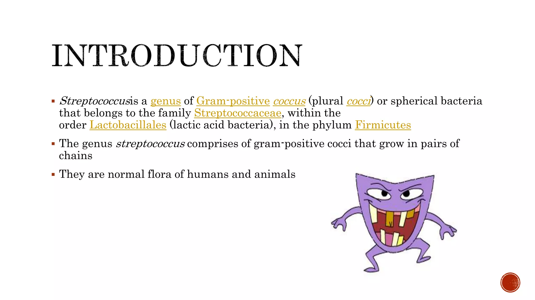 Gram positive and gram negitive bacteria | PPTX