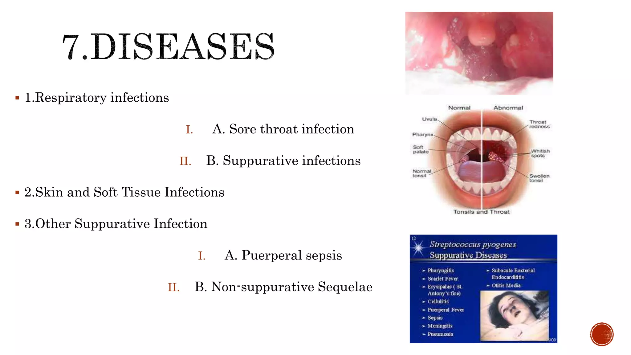 Gram Positive And Gram Negitive Bacteria Pptx