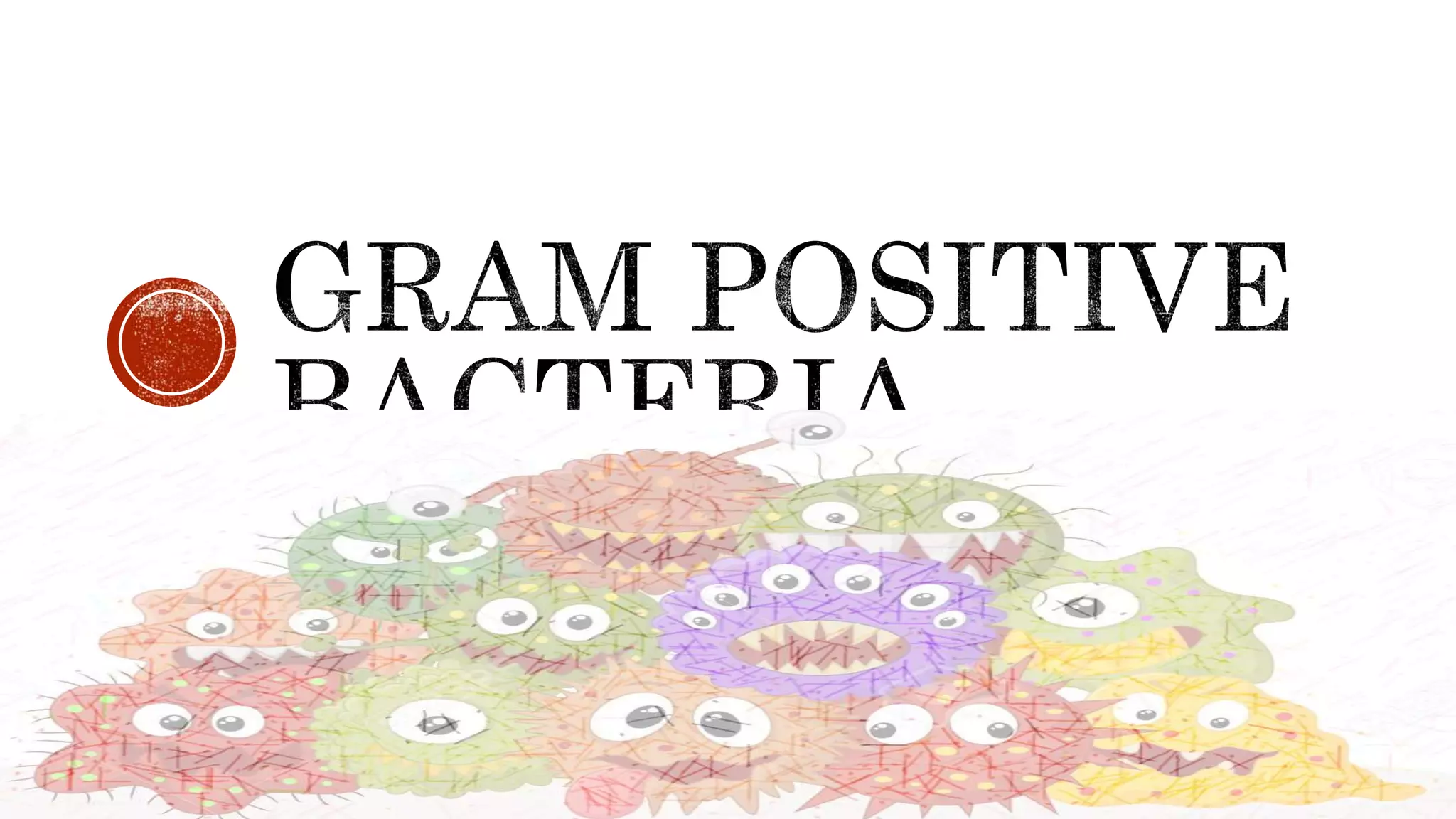 Gram Positive And Gram Negitive Bacteria Pptx