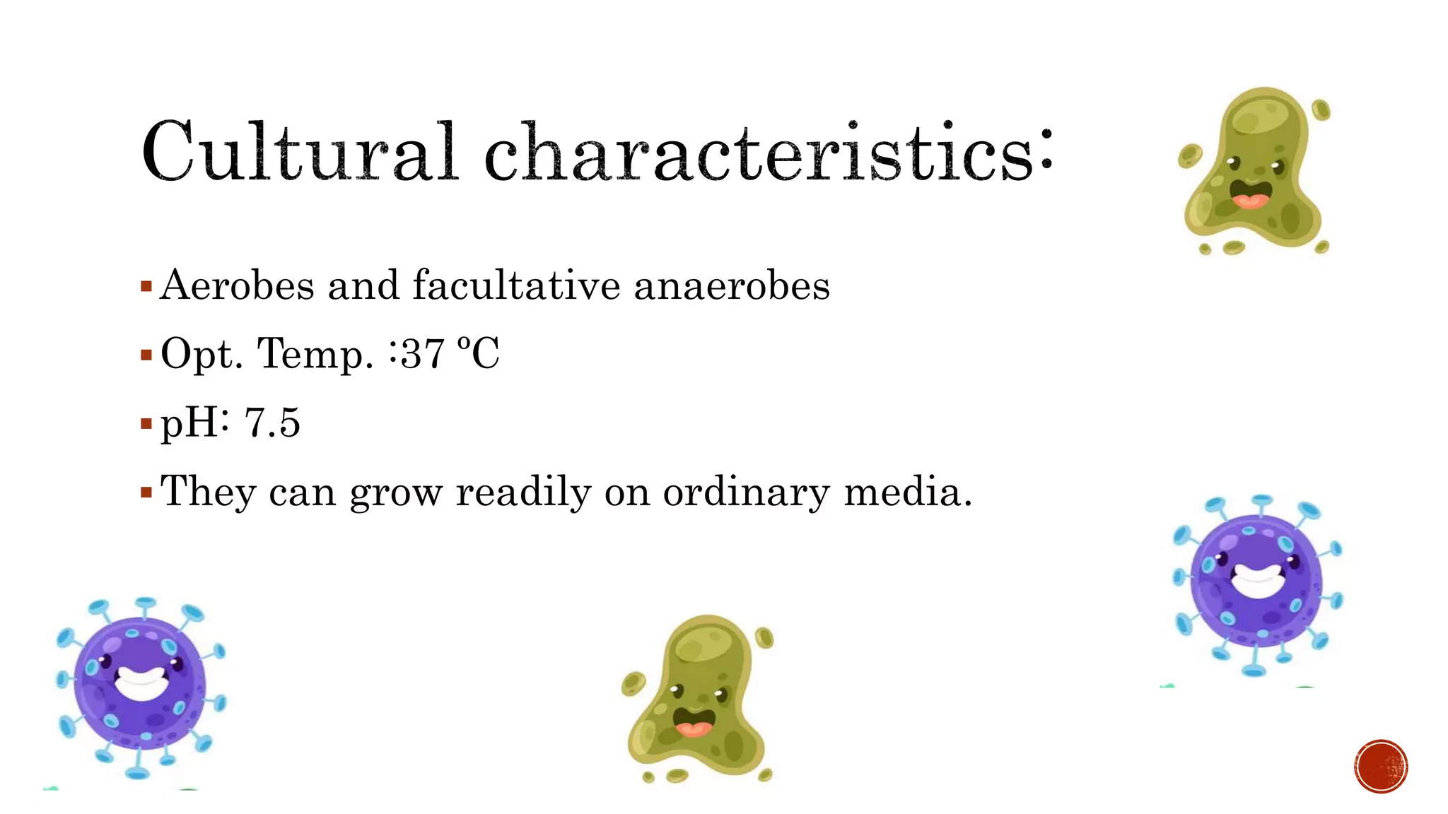 Gram Positive And Gram Negitive Bacteria Pptx