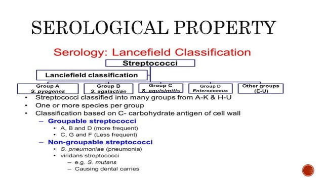 Gram Positive And Gram Negitive Bacteria Pptx