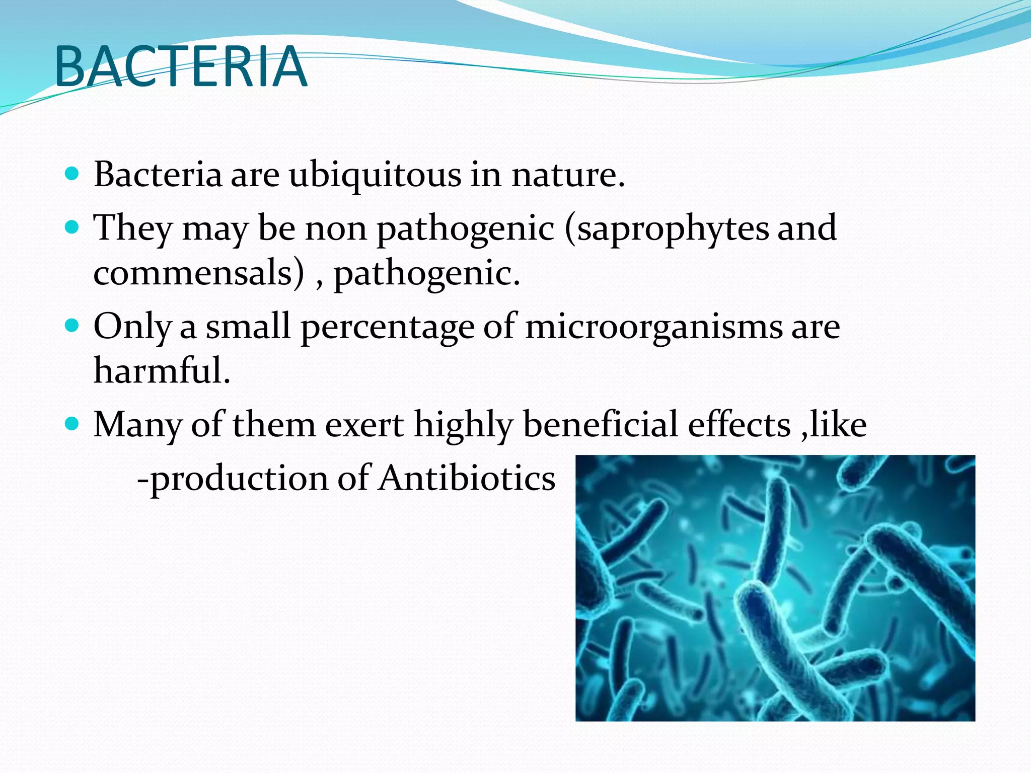 Gram positive bacteria in ocular pathology | PPTX