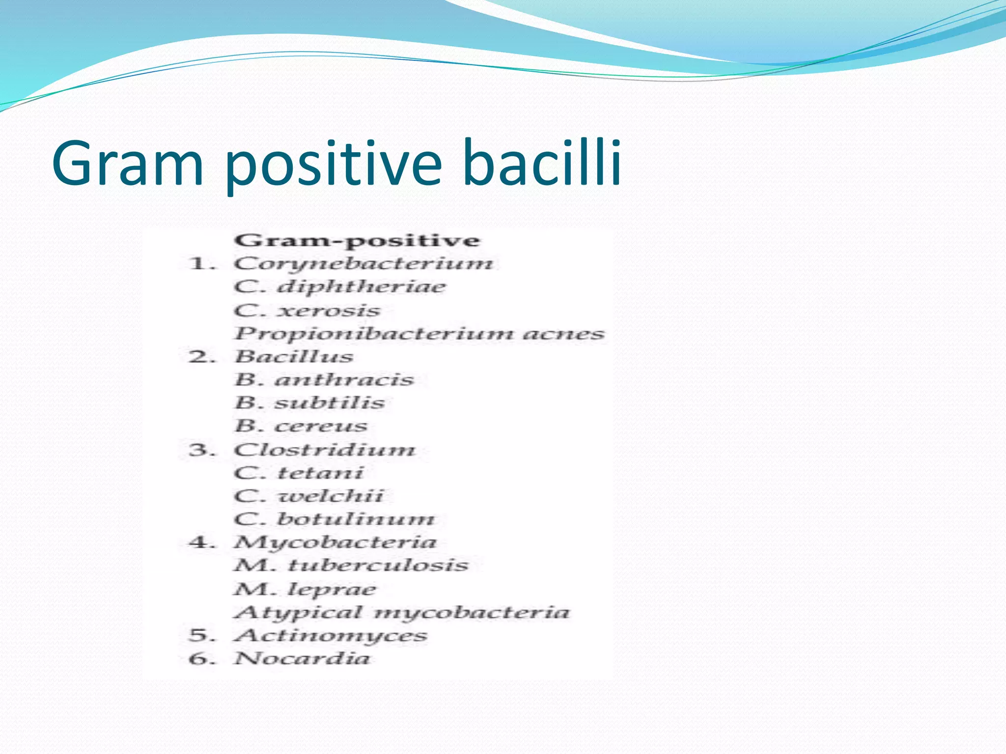 Gram positive bacteria in ocular pathology | PPTX