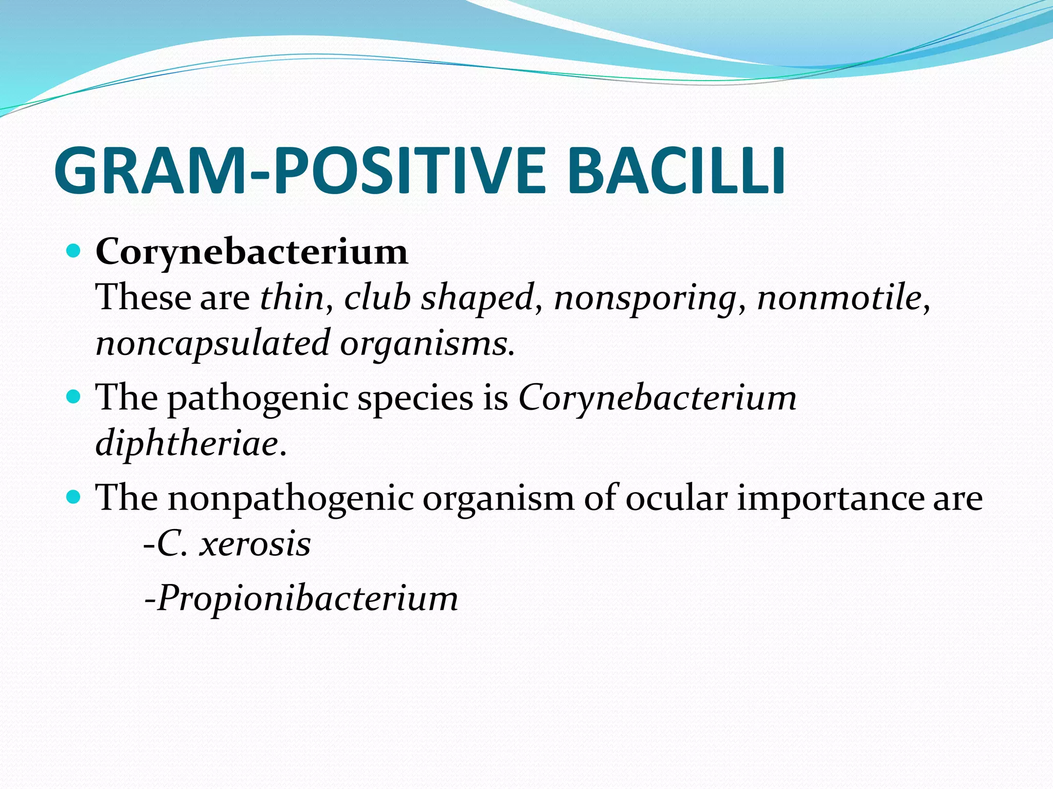 Gram positive bacteria in ocular pathology | PPTX