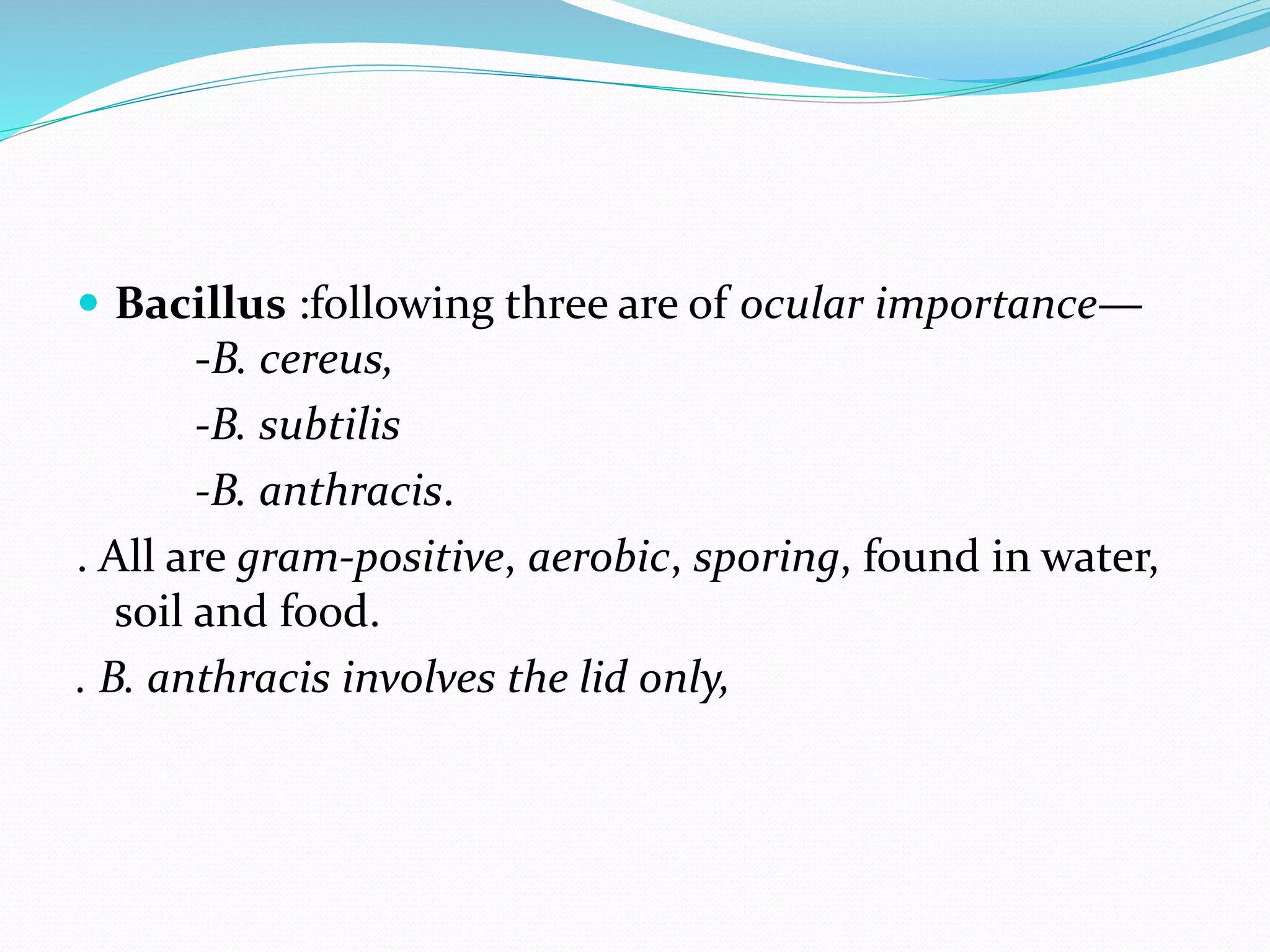 Gram positive bacteria in ocular pathology | PPTX