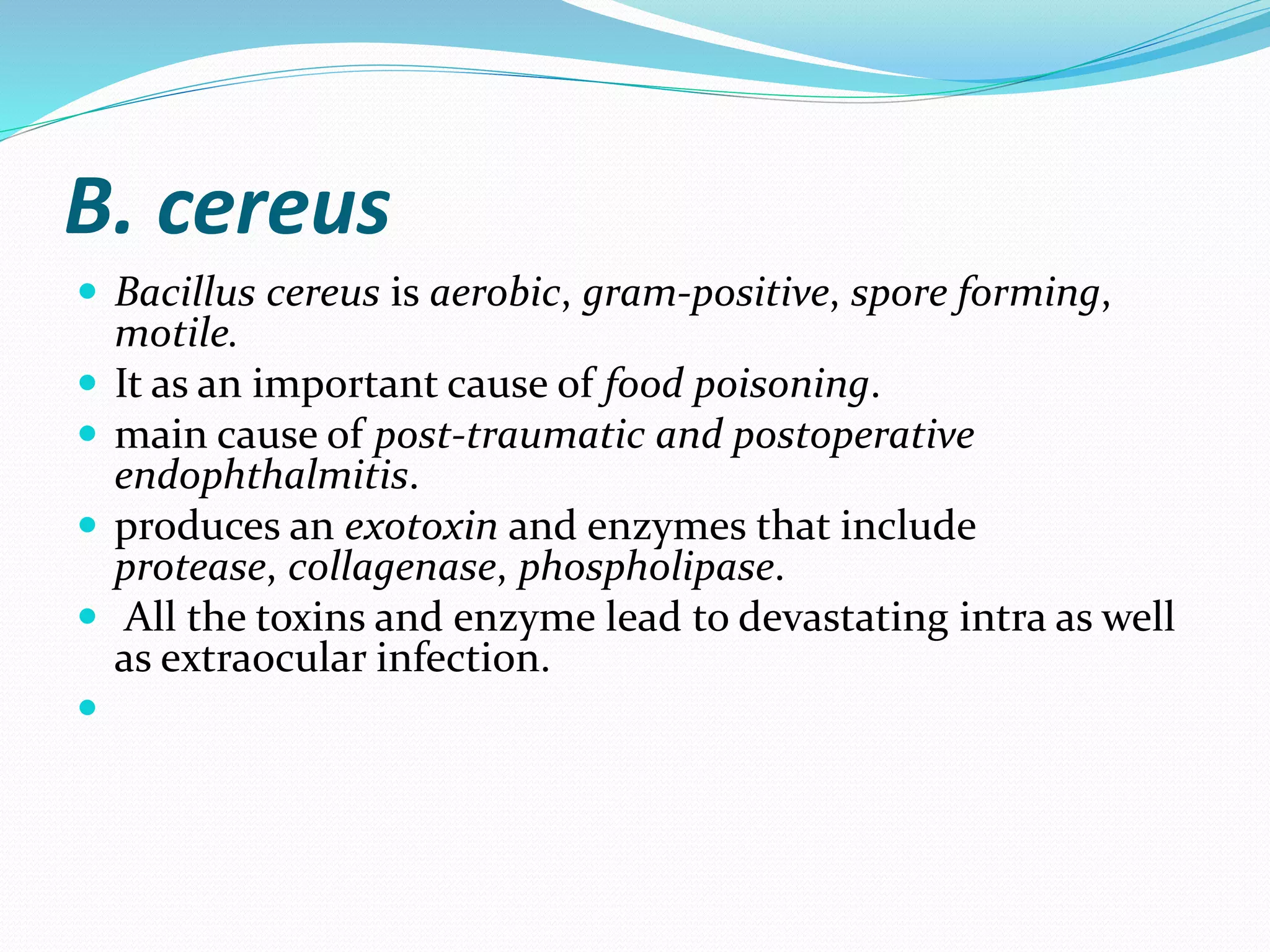 Gram positive bacteria in ocular pathology | PPTX