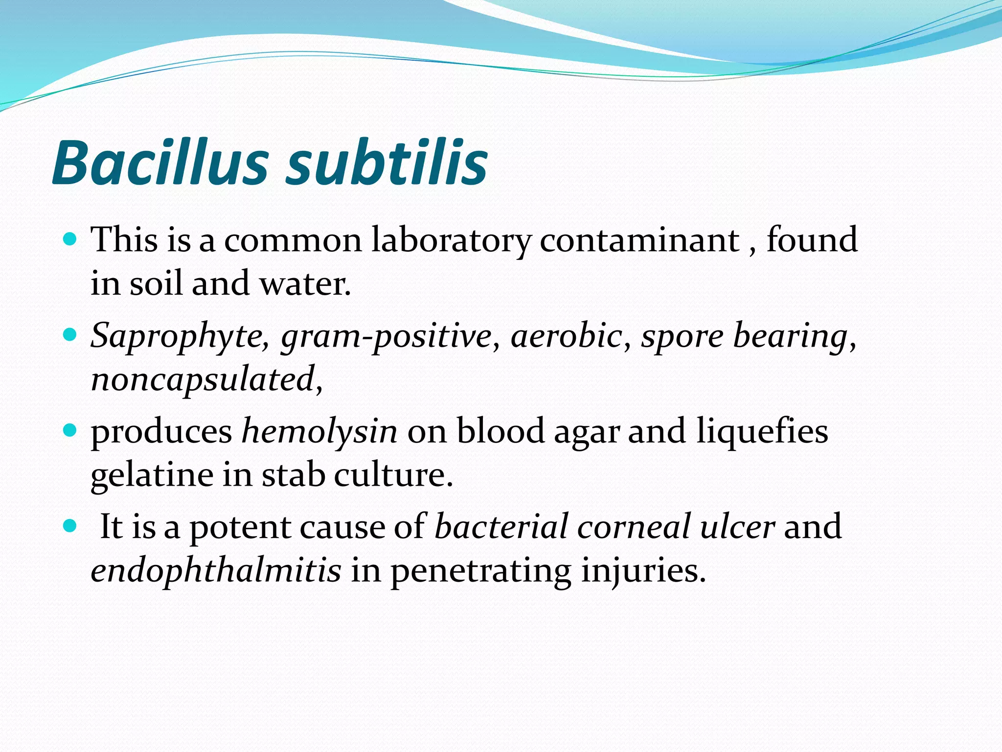 Gram positive bacteria in ocular pathology | PPTX